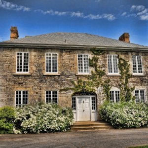 topaz-adjust-edits | DPReview Forums