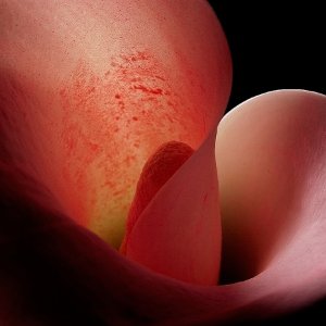 132© M.FROSSARD 2006_copy | DPReview Forums