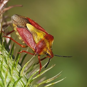 100807_150320_1 | DPReview Forums