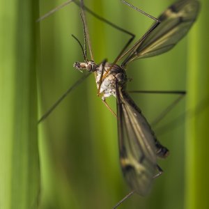 mcke | DPReview Forums