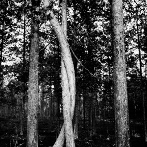 mnty | DPReview Forums