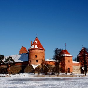 Member album (public) | DPReview Forums