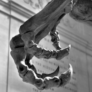 manhatten | DPReview Forums