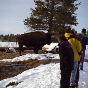 1998 | DPReview Forums