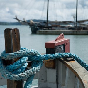 aland | DPReview Forums