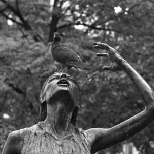 Bird in the Hand | DPReview Forums