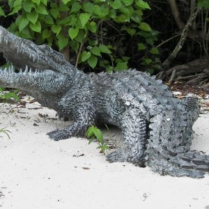 Statue01 | DPReview Forums