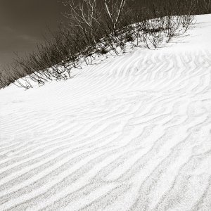 succession | DPReview Forums