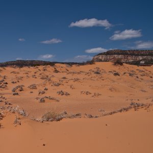 coral-pink-sand-dunes | DPReview Forums