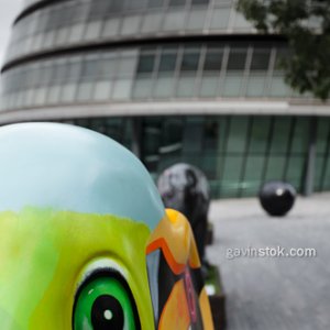 London: Elephant Parade | DPReview Forums