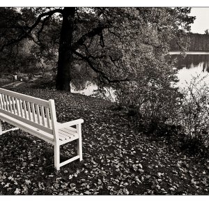 L1090287_N_WWW | DPReview Forums