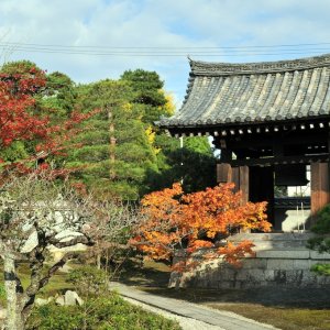 japan fall 2009 | DPReview Forums