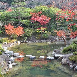 japan fall 2009 | DPReview Forums