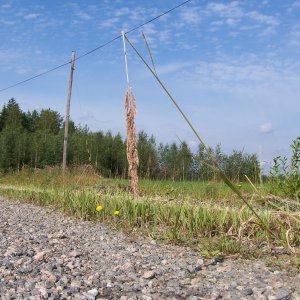 Kuva 065 | DPReview Forums