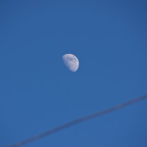 20101115 LUNA [001] | DPReview Forums