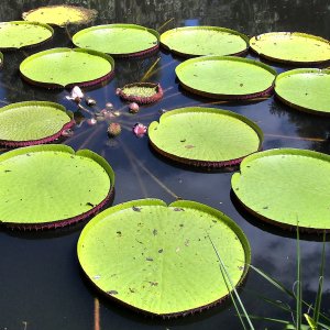 Lilly00 | DPReview Forums