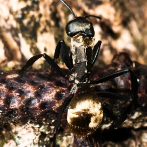 Dpreview-1-18 | DPReview Forums