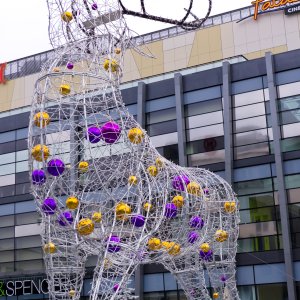 LEICA-D-LUX-5-First-Shots-4 | DPReview Forums