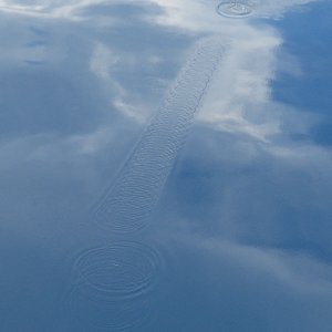 Flying Fish Trail | DPReview Forums