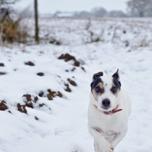 alfie-snow | DPReview Forums