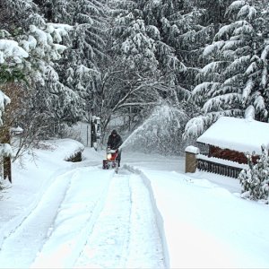 alm-haus | DPReview Forums