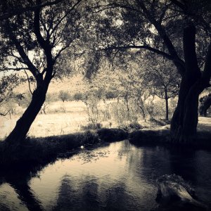 wow !! | DPReview Forums