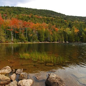 Fall Foliage 4 | DPReview Forums