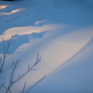 Winter wonder | DPReview Forums