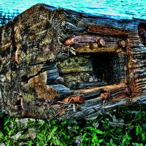 topaz-adjust-edits | DPReview Forums