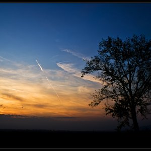 Feeling | DPReview Forums