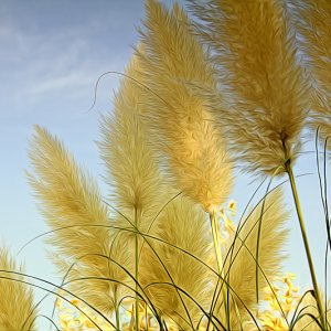 10-165 | DPReview Forums