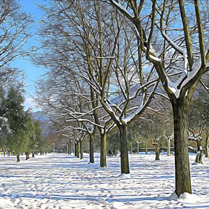 10-165 | DPReview Forums