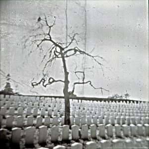 toy-camera | DPReview Forums