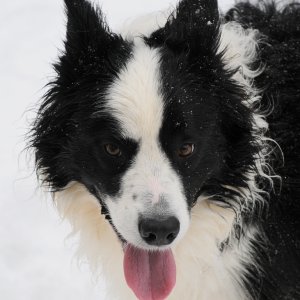 55-200 vr | DPReview Forums