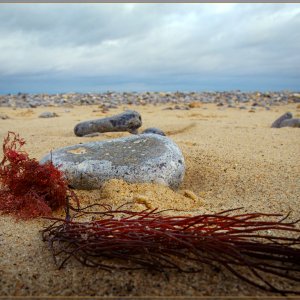 On the sea shore | DPReview Forums