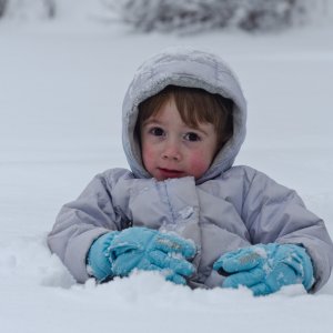 bob | DPReview Forums