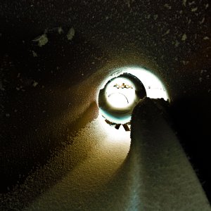 murphy | DPReview Forums