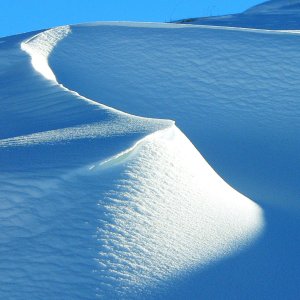 83cerler06 + dpreview Texturas | DPReview Forums