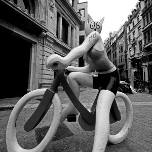 billboard | DPReview Forums