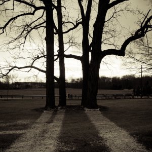 Snow Shadows | DPReview Forums