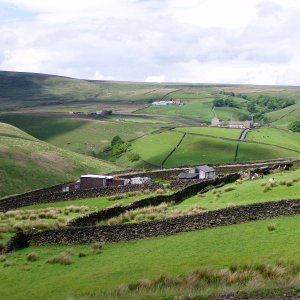 P6040094_edited-1 | DPReview Forums