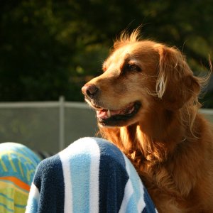 srr 028b | DPReview Forums