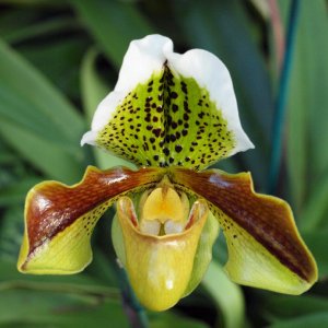 je300438 | DPReview Forums