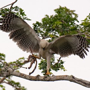 bird-with-food | DPReview Forums