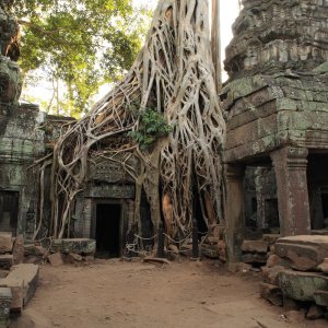 luka | DPReview Forums