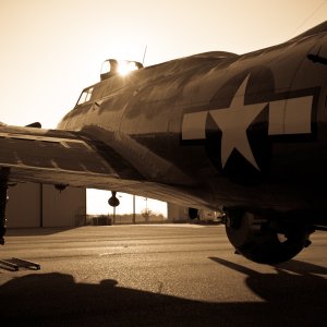 Wings of Freedom-1 | DPReview Forums