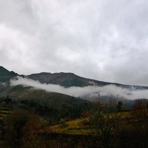 pena | DPReview Forums