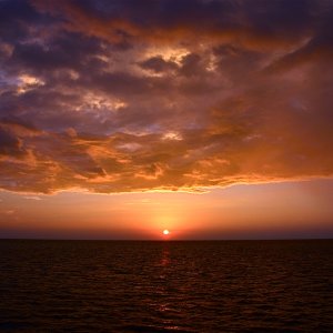 Beautiful moment. | DPReview Forums