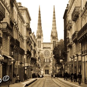 _MG_1813 | DPReview Forums