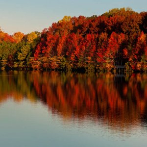 Oak Grove_MG_4424_AJG_HDR | DPReview Forums